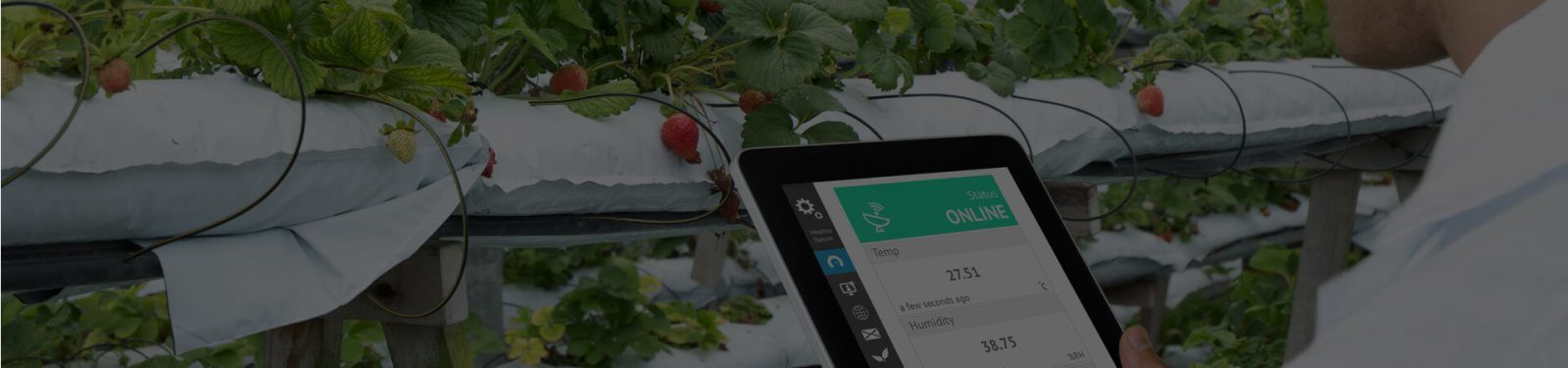 Digital Agriculture Services | Smart Farming Solutions | [x]cube LABS